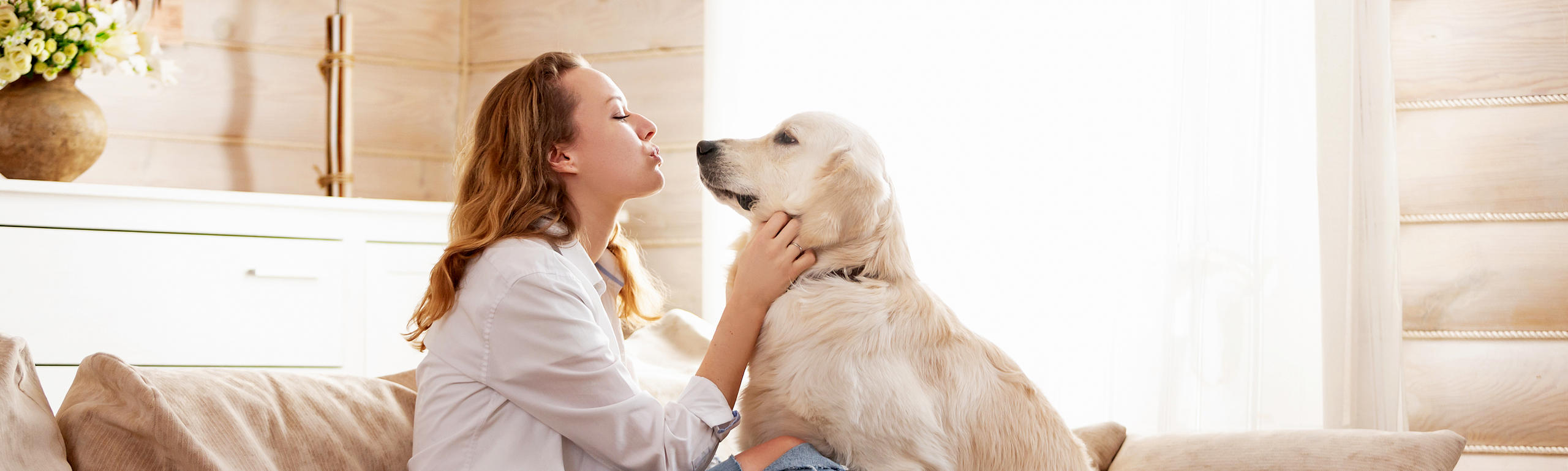 Blog - BCL Dog Training